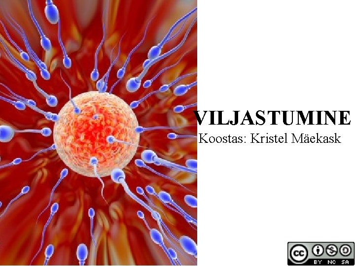 VILJASTUMINE Koostas Kristel Mekask Ontogenees Organismi individiuaalne ...