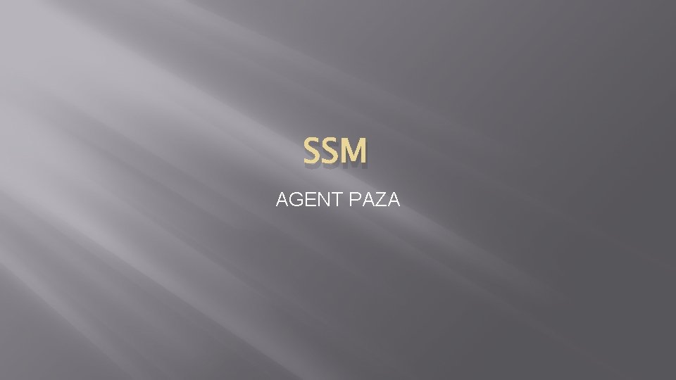 SSM AGENT PAZA LEGEA 3192006 SECIUNEA a 4
