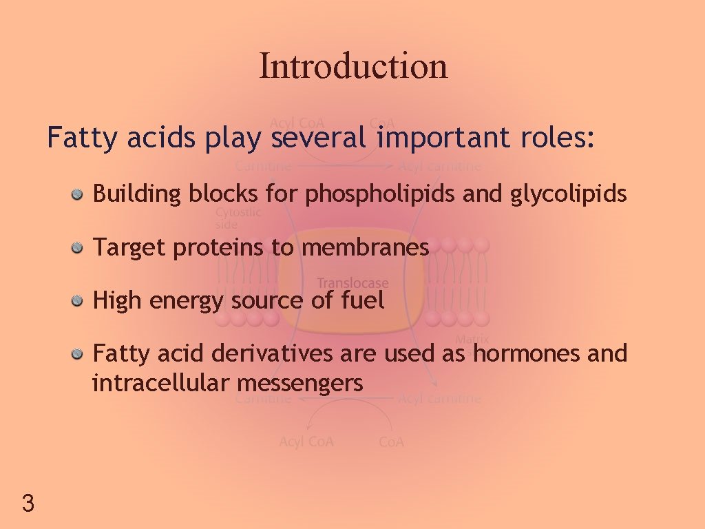 Chapter 22 Fatty Acid Metabolism Chem 454 Biochemistry