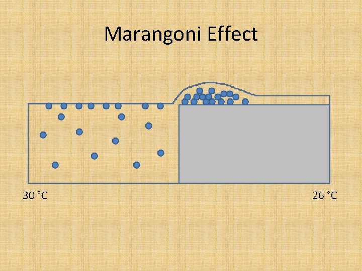 Nanoparticles at the Solid Liquid Interface Lynza Halberstadt
