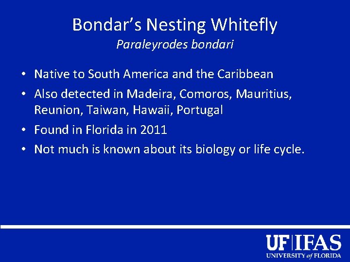 Invasive Whitefly Pests of Florida Photos H Glenn