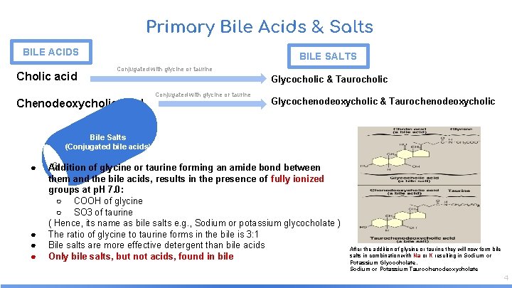 Bile Acids Salts Objectives Structure of primary bile