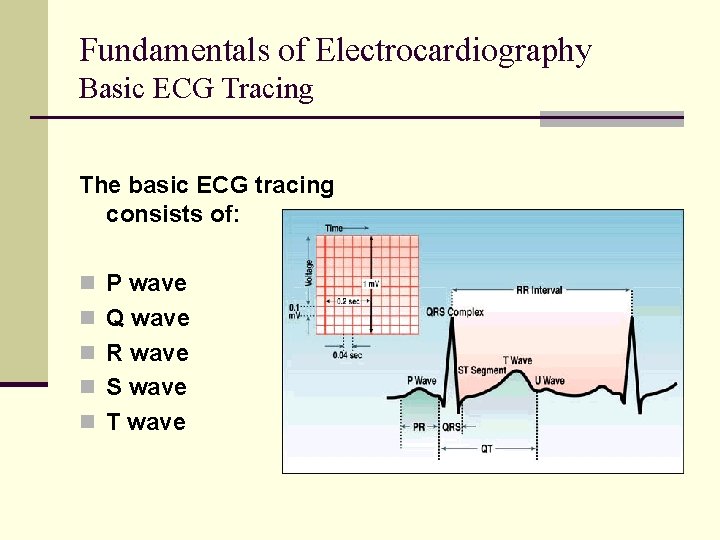 ECG Fundamentals of Electrocardiography The conduction system is