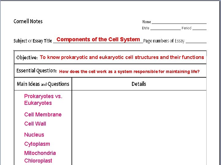 Components of the Cell System To know prokaryotic