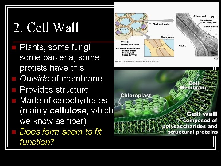 Components of the Cell System To know prokaryotic