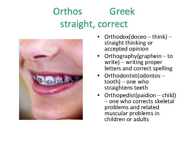 Greek and Latin Roots 2 64 75 Porto