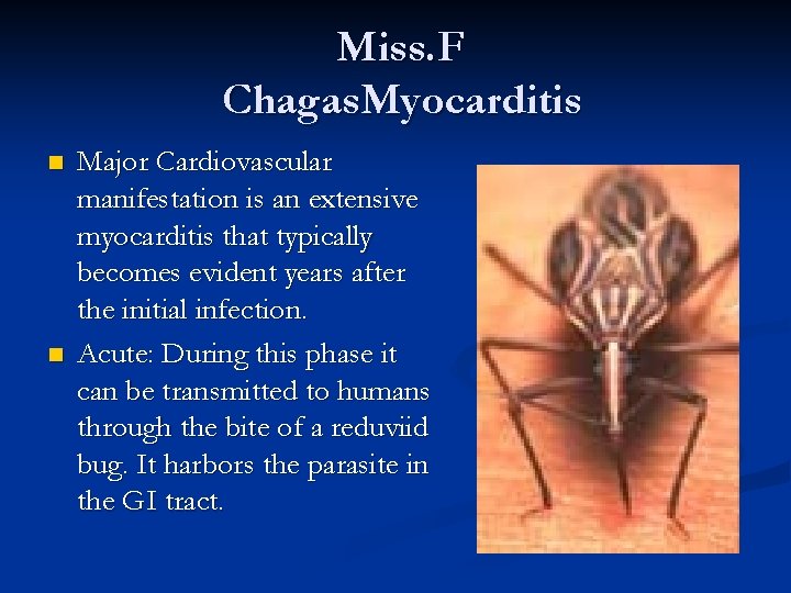 Bridging the Gap Where Clinical and Basic Sciences