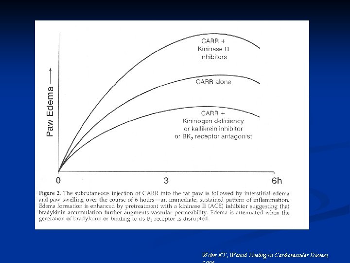 Bridging the Gap Where Clinical and Basic Sciences