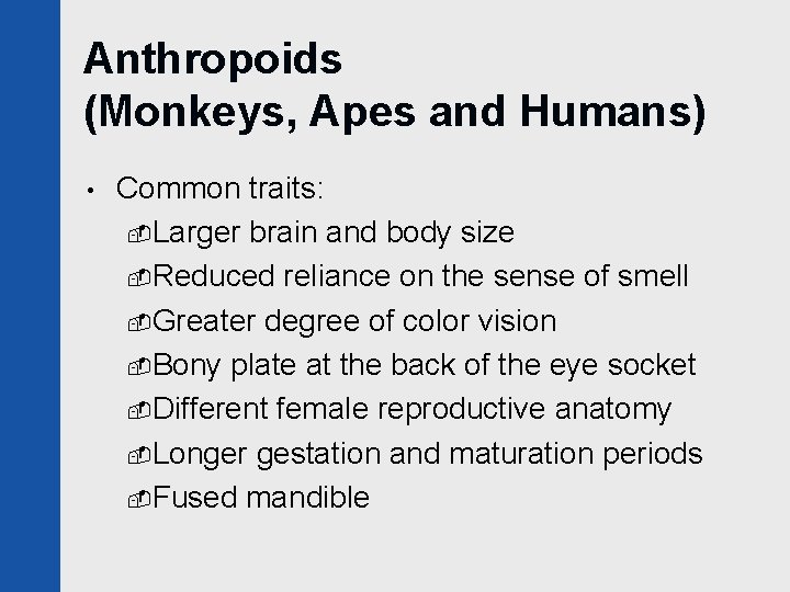 Chapter 6 A Survey of the Living Primates