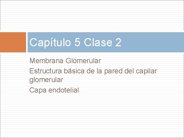 Captulo 5 Clase 2 Membrana Glomerular Estructura bsica