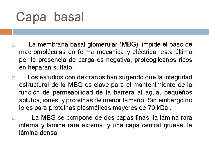 Captulo 5 Clase 2 Membrana Glomerular Estructura bsica