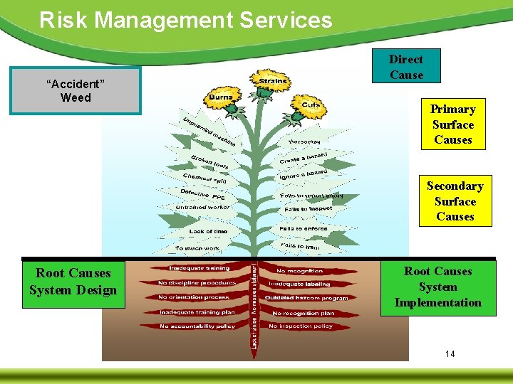 Risk Management Services Accident Investigation Basics Department of