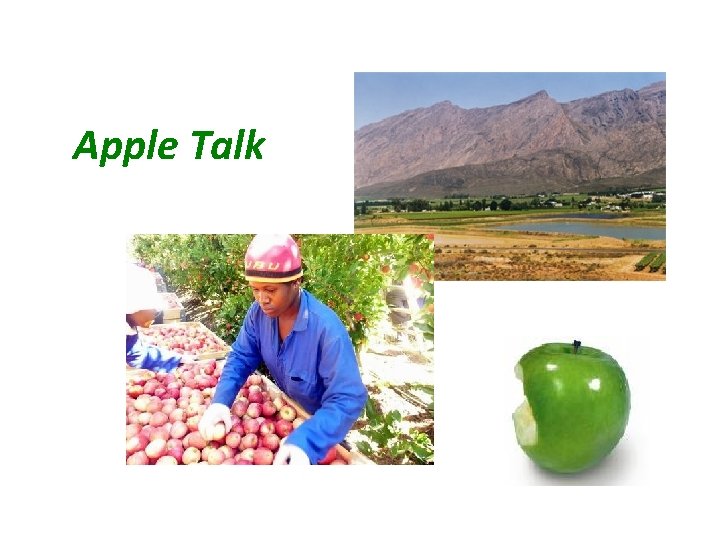 Exploring Global Connections with Cases Ethel Stanley Bio