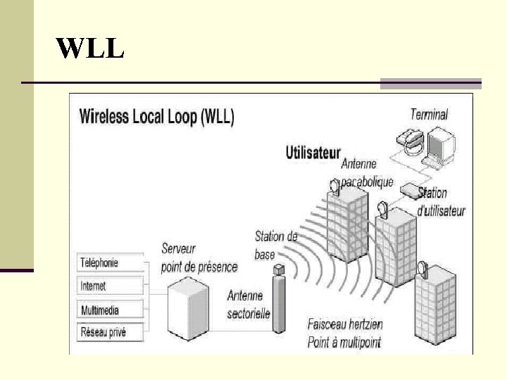 Plan de travail 1 Introduction 2 Historique 3