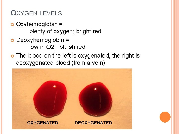 BLOOD The Cardiovascular System Blood transports substances and