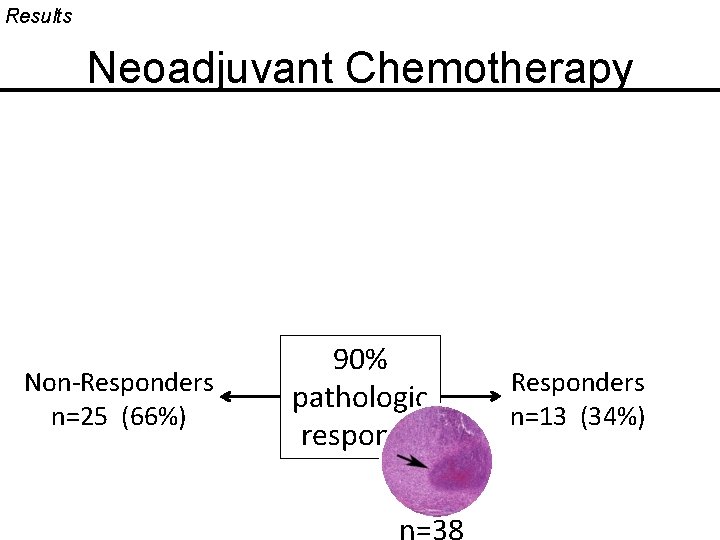 Neoadjuvant Chemotherapy in Malignant Peripheral Nerve Sheath Tumors