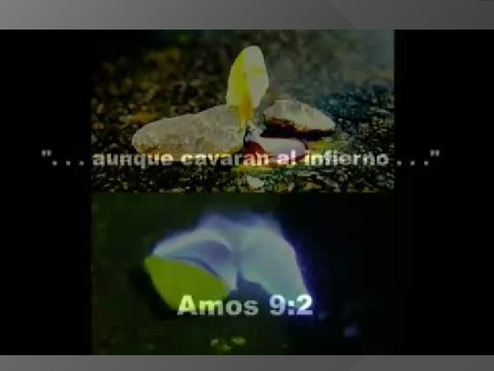 APOCALIPSIS 20 12 15 12 Y vi a