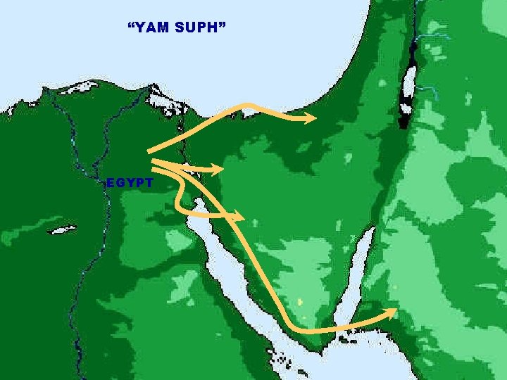 The Book of Deliverance John Stevenson 2008 Genesis