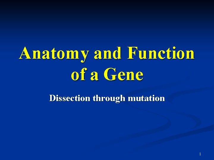 Anatomy and Function of a Gene Dissection through
