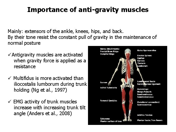 Postural Control by 3 D Newton Feliciana Cortese