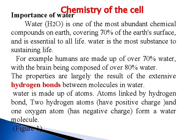Chemistry of the cell Importance of water Water