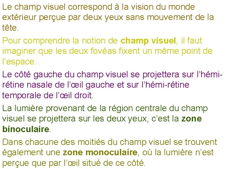 Cours 6 ANATOMIE DE LA VOIE VISUELLE I