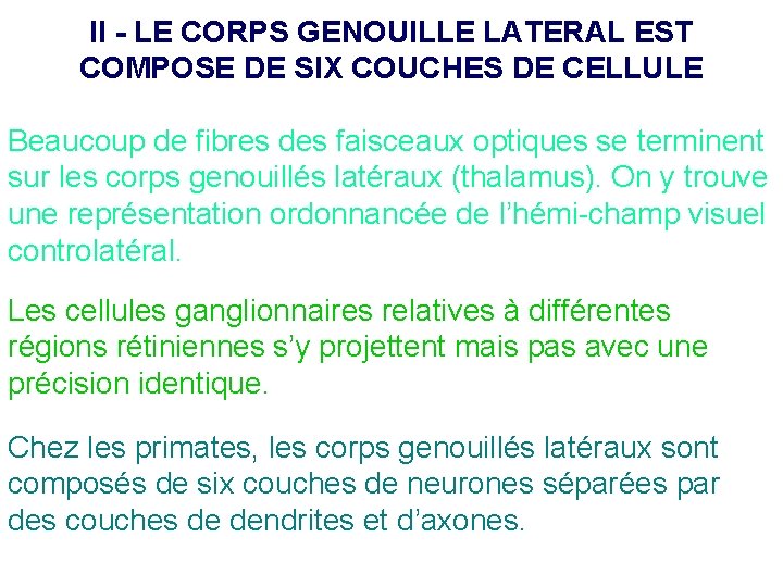 Cours 6 ANATOMIE DE LA VOIE VISUELLE I