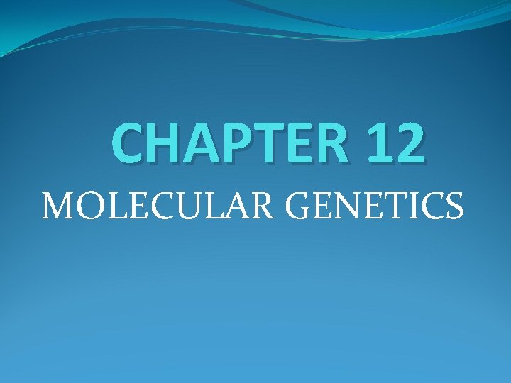 CHAPTER 12 MOLECULAR GENETICS Ch 12 1 DNA