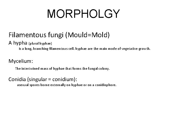 Lecture Title Fungi and their pathogenesis Foundation Block