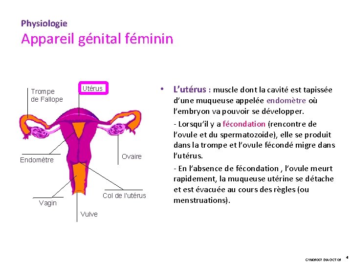 Les diffrentes mthodes de contraception DR LOUCIF GYN