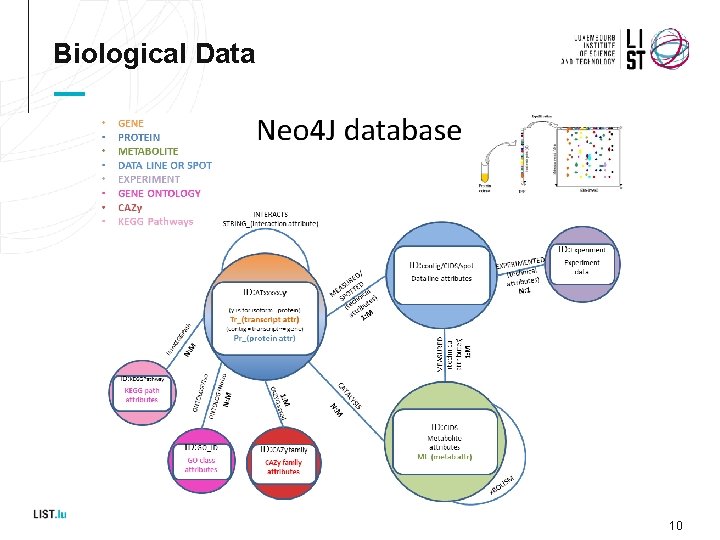 BLIZAAR VISUALIZATION OF MULTILAYER NETWORKS Dr Fintan Mc