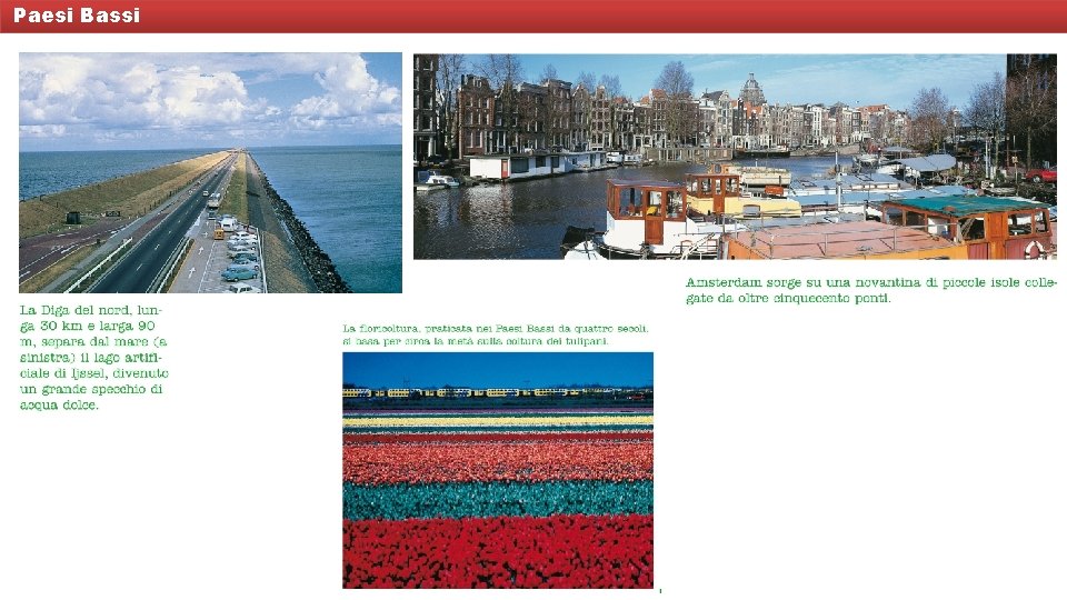 Paesi Bassi Paesi Bassi Clima Umido temperato oceanico