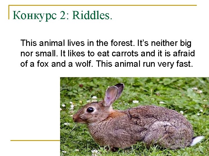 2 Riddles This animal lives in the forest