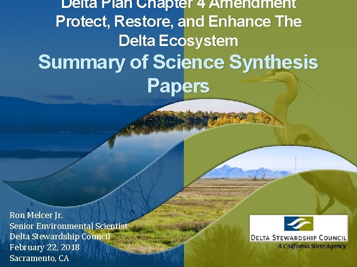 Delta Plan Chapter 4 Amendment Protect Restore and