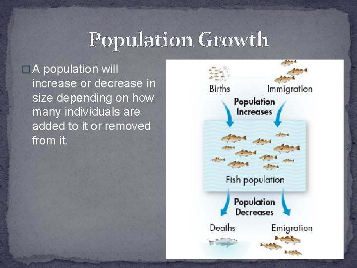 Population Growth Chapter 19 Population Growth 1950s fish