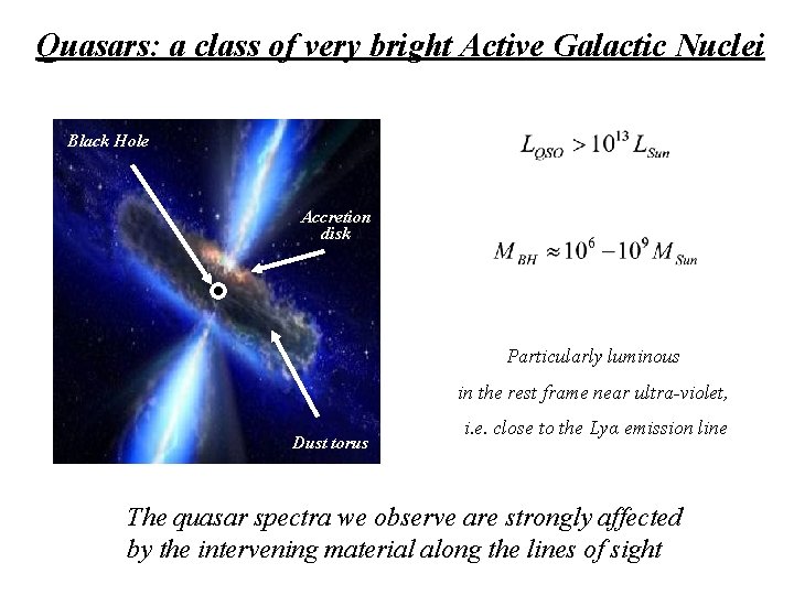What can we learn from quasar spectra on