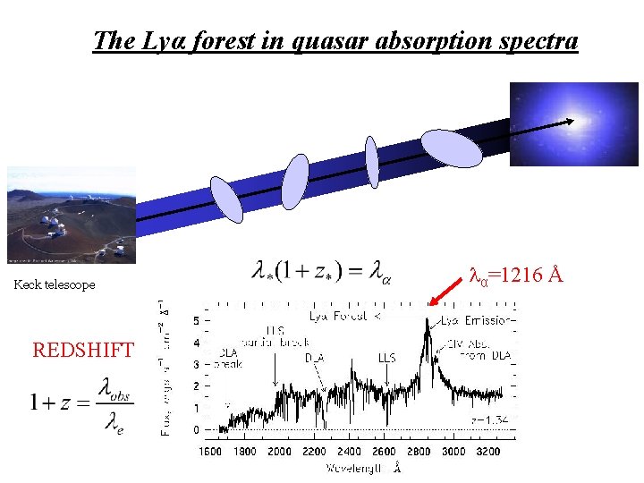 What can we learn from quasar spectra on