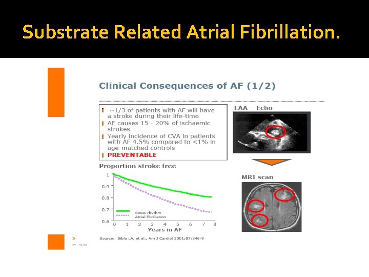 Samer Nasr M D Mount Lebanon Hospital Rduction