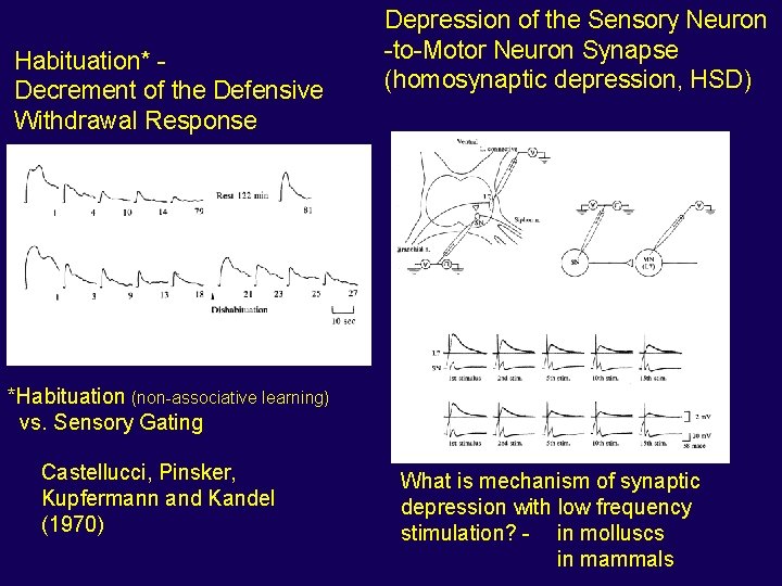 If synapses are gated off Hebbian mechanisms of