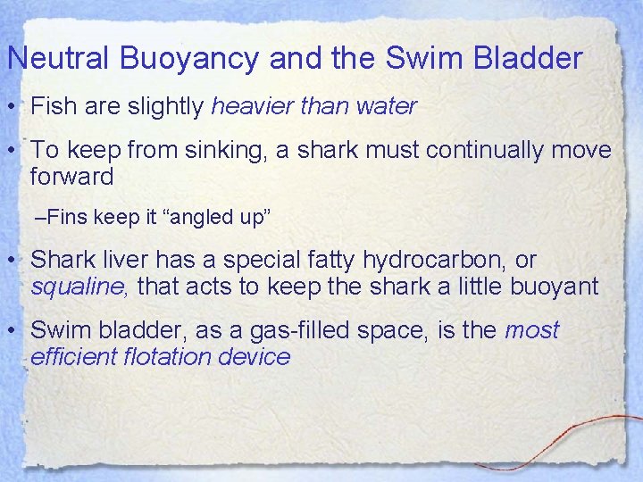Chapter 16 The Fishes Part II Osteichthyes Gnathostome