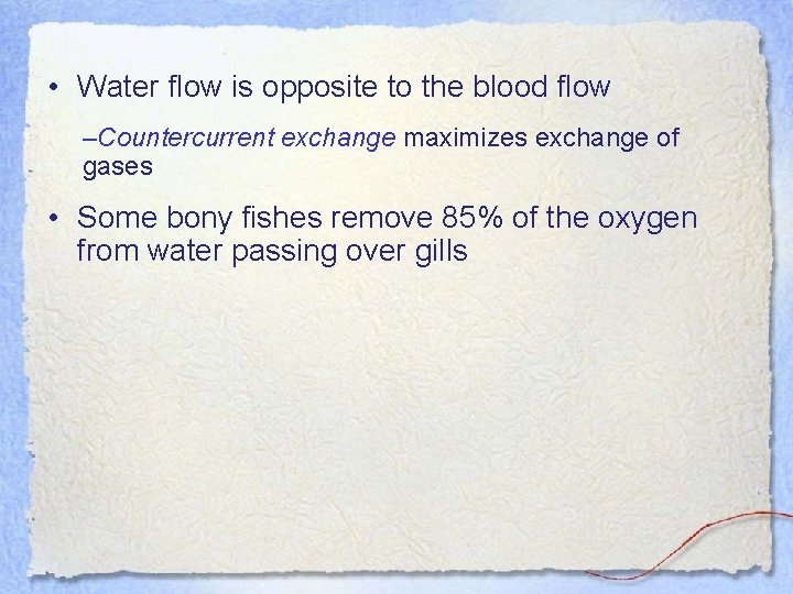 Chapter 16 The Fishes Part II Osteichthyes Gnathostome