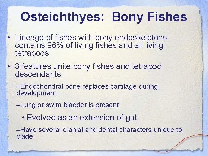 Chapter 16 The Fishes Part II Osteichthyes Gnathostome