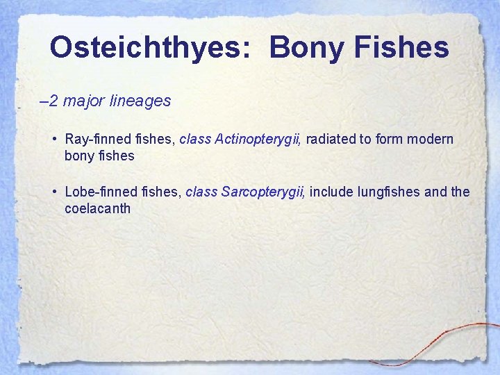 Chapter 16 The Fishes Part II Osteichthyes Gnathostome
