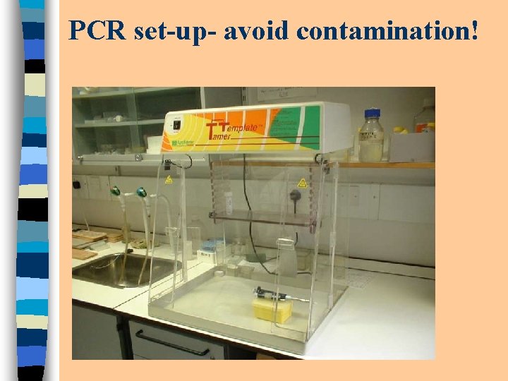PCR Learning Objectives After this lecture you should