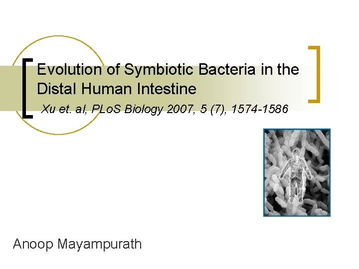 Evolution of Symbiotic Bacteria in the Distal Human