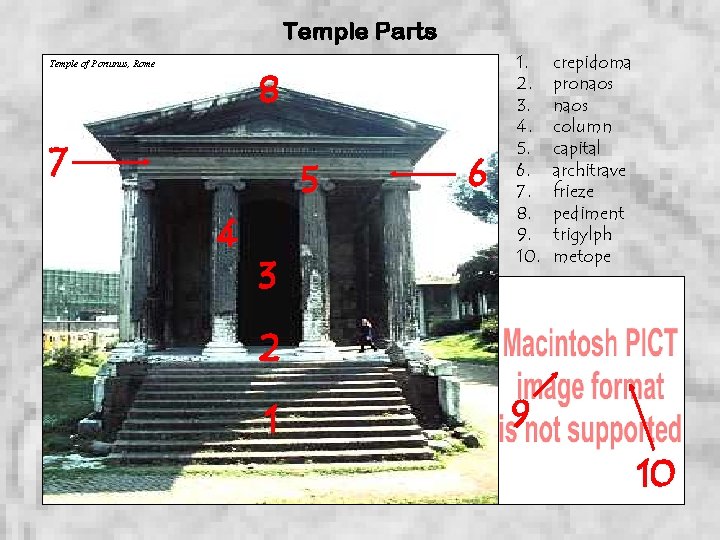 GREEK and ROMAN ARCHITECTURE Structure of the Presentation