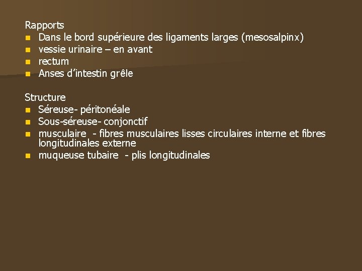 LAPPAREIL GENITAL APPAREIL GENITAL CHEZ FEMME n glandes