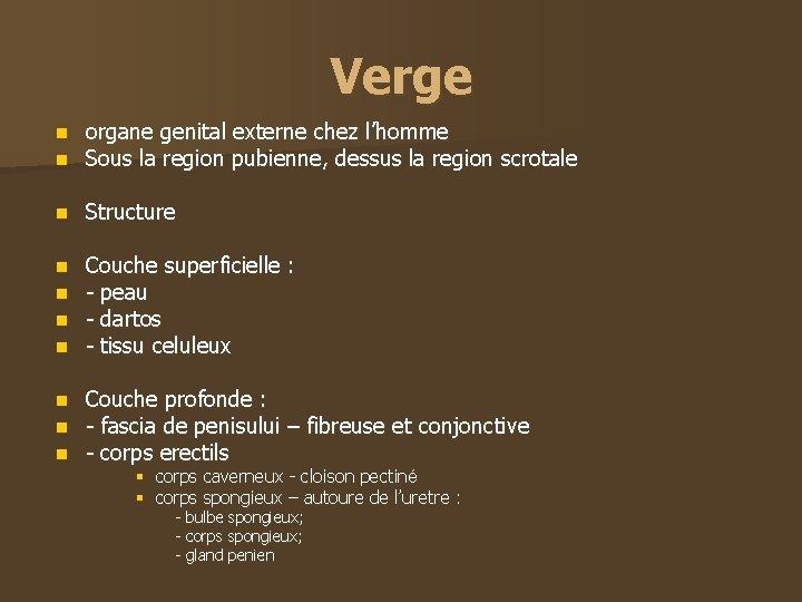 LAPPAREIL GENITAL APPAREIL GENITAL CHEZ FEMME n glandes