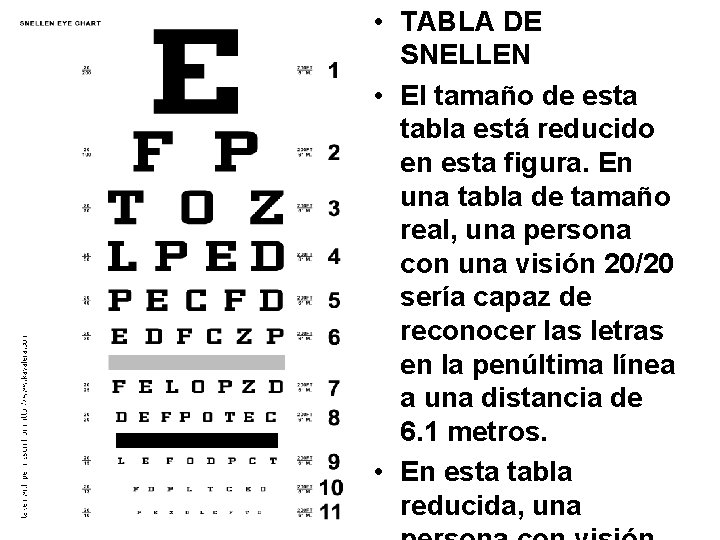 AGUDEZA VISUAL La agudeza visual es la capacidad