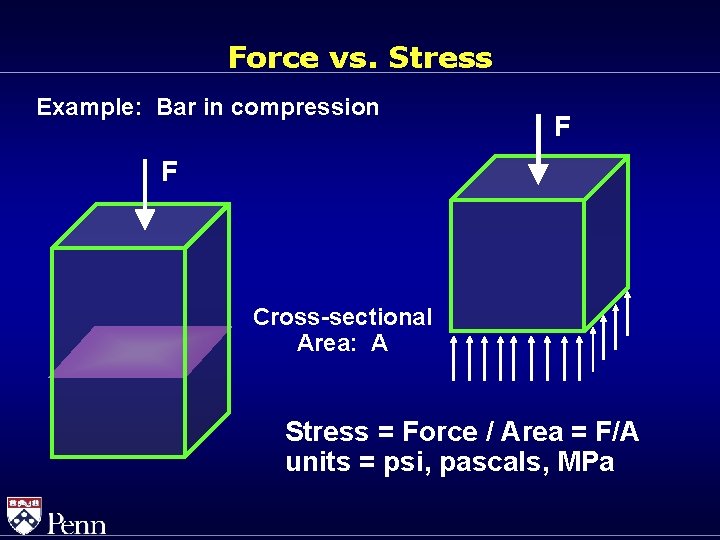 PCMD Biomechanics Core Learning Lunch 21519 Mc Kay